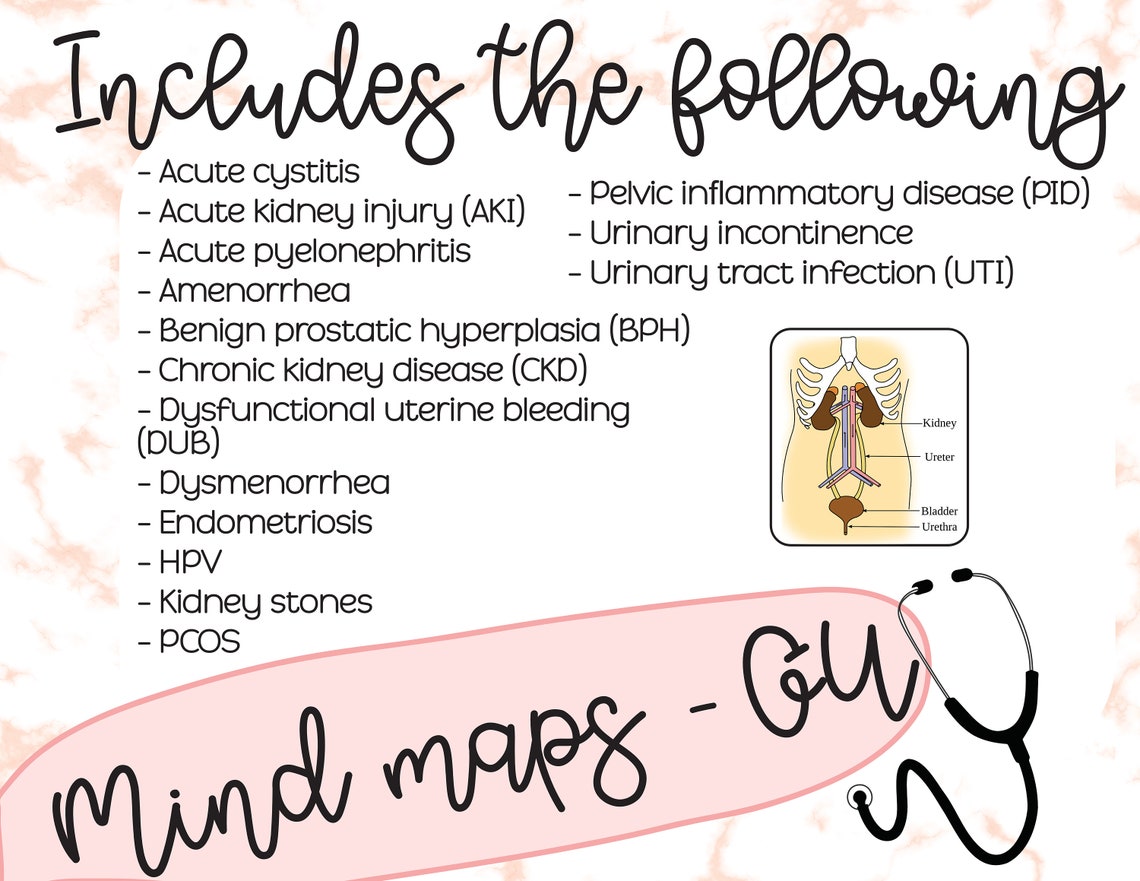 Mind Maps Genitourinary System for Nursing Students Nurses - Etsy Canada
