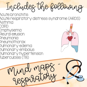Respiratory System Mind Maps: Nursing Study Guide (digital Download) - Etsy