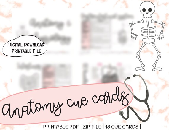 Anatomy Cue Cards for Nursing Students Nurses Medical - Etsy