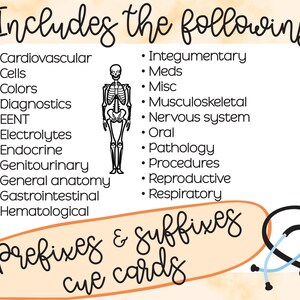 Medical Terminology Prefixes & Suffixes Cue Cards (digital Download) - Etsy