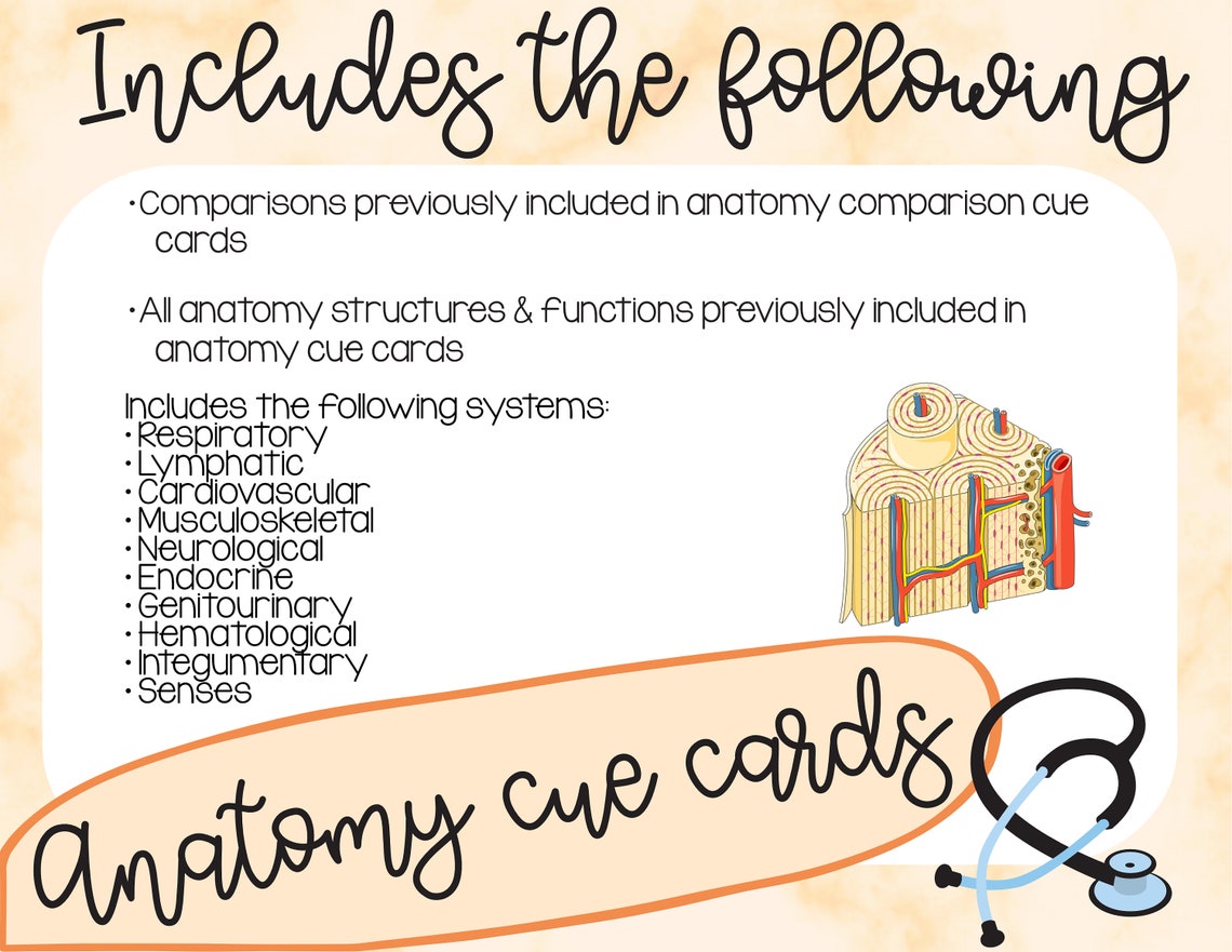 Anatomy Cue Cards, for Nursing Students, Nurses, Medical Terminology ...