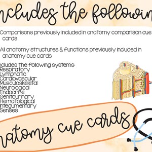 Anatomy Cue Cards, for Nursing Students, Nurses, Medical Terminology ...