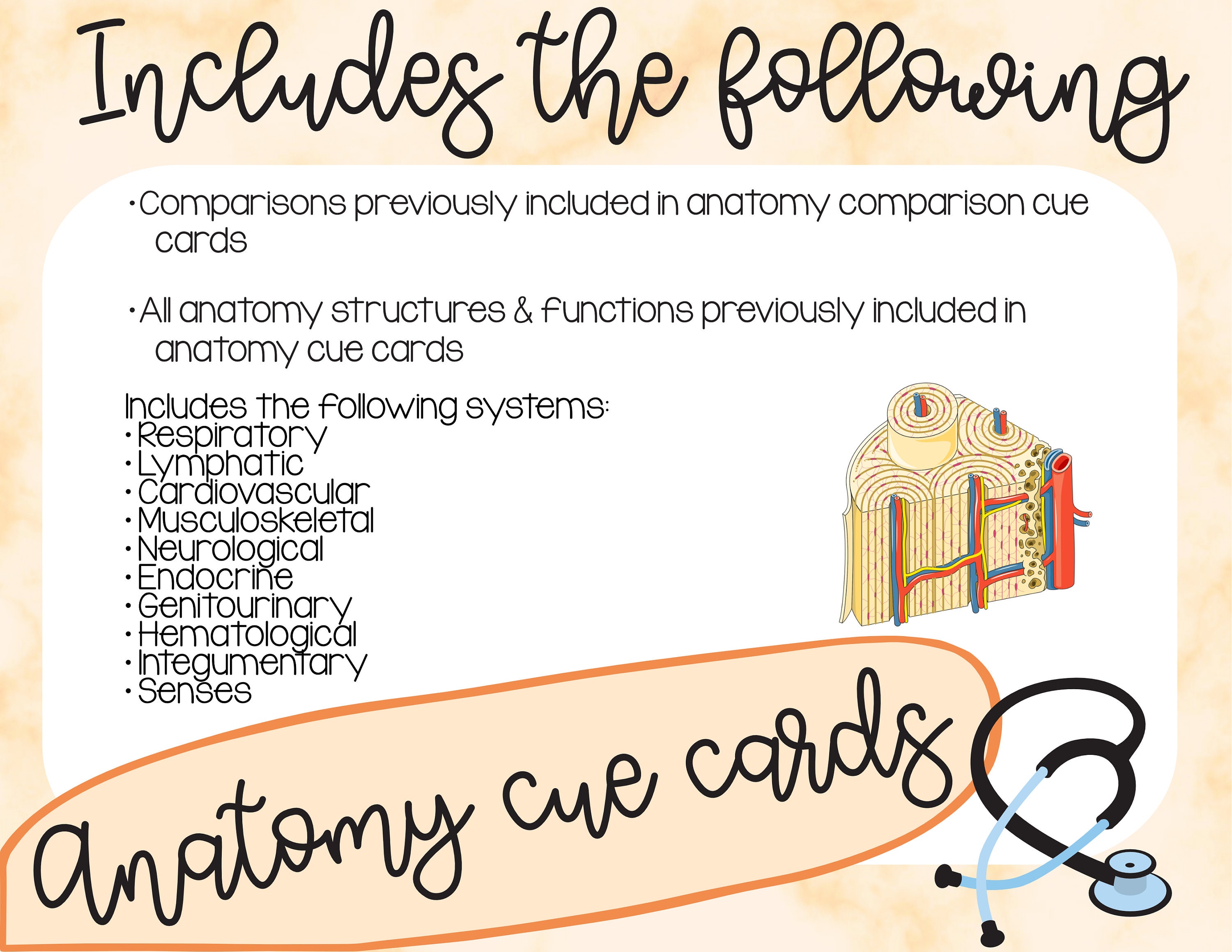 Anatomy Cue Cards, for Nursing Students, Nurses, Medical Terminology ...