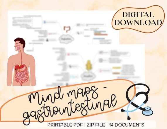 Mind Maps Gastrointestinal System for Nursing Students - Etsy