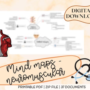 Mind Maps- Neuromuscular System, for Nursing Students, Nurses, Concept ...