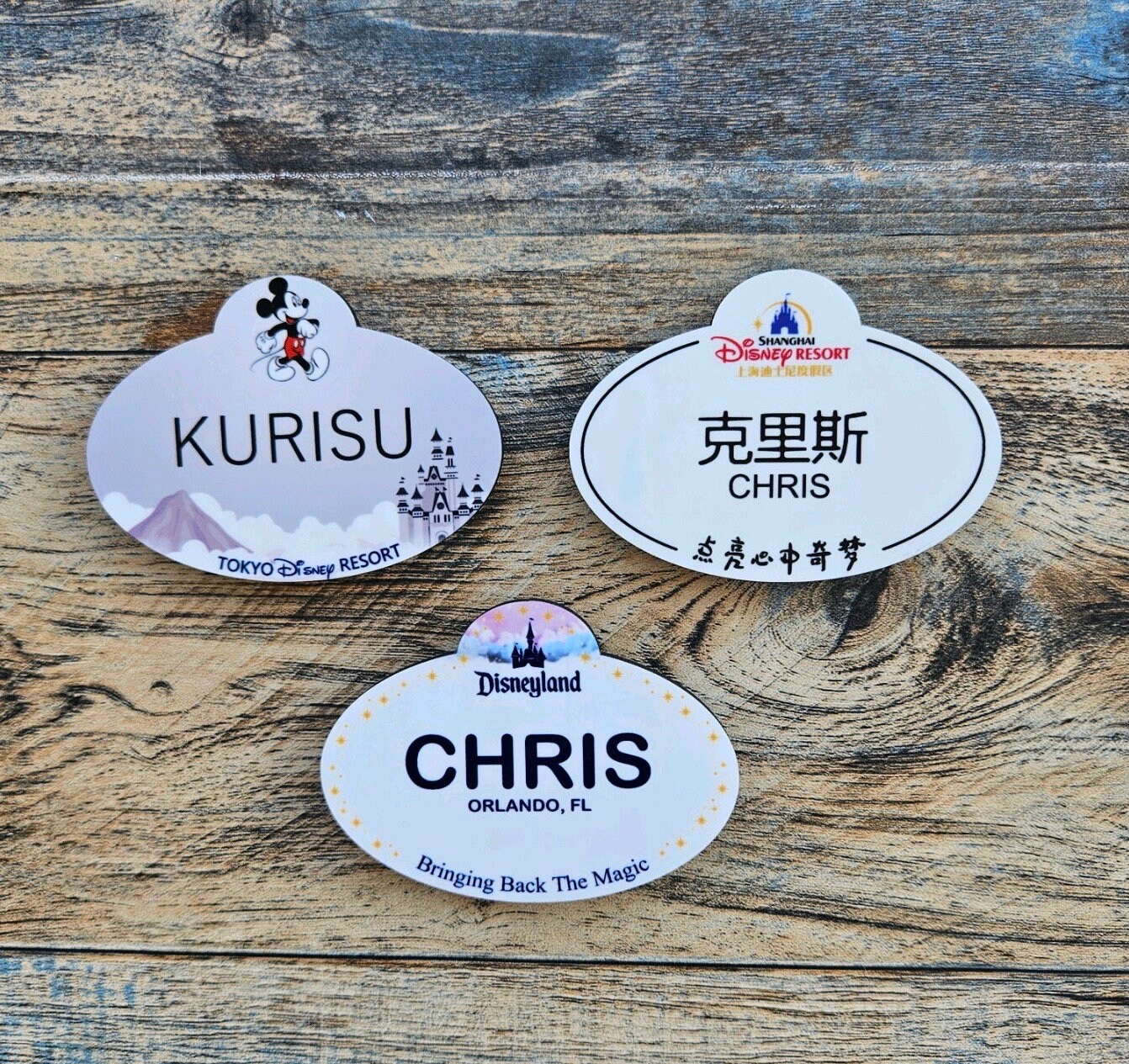 Tokyo Disney Resort Pin, DLP Japan Pin, Disney Tokyo, Cast Member ...