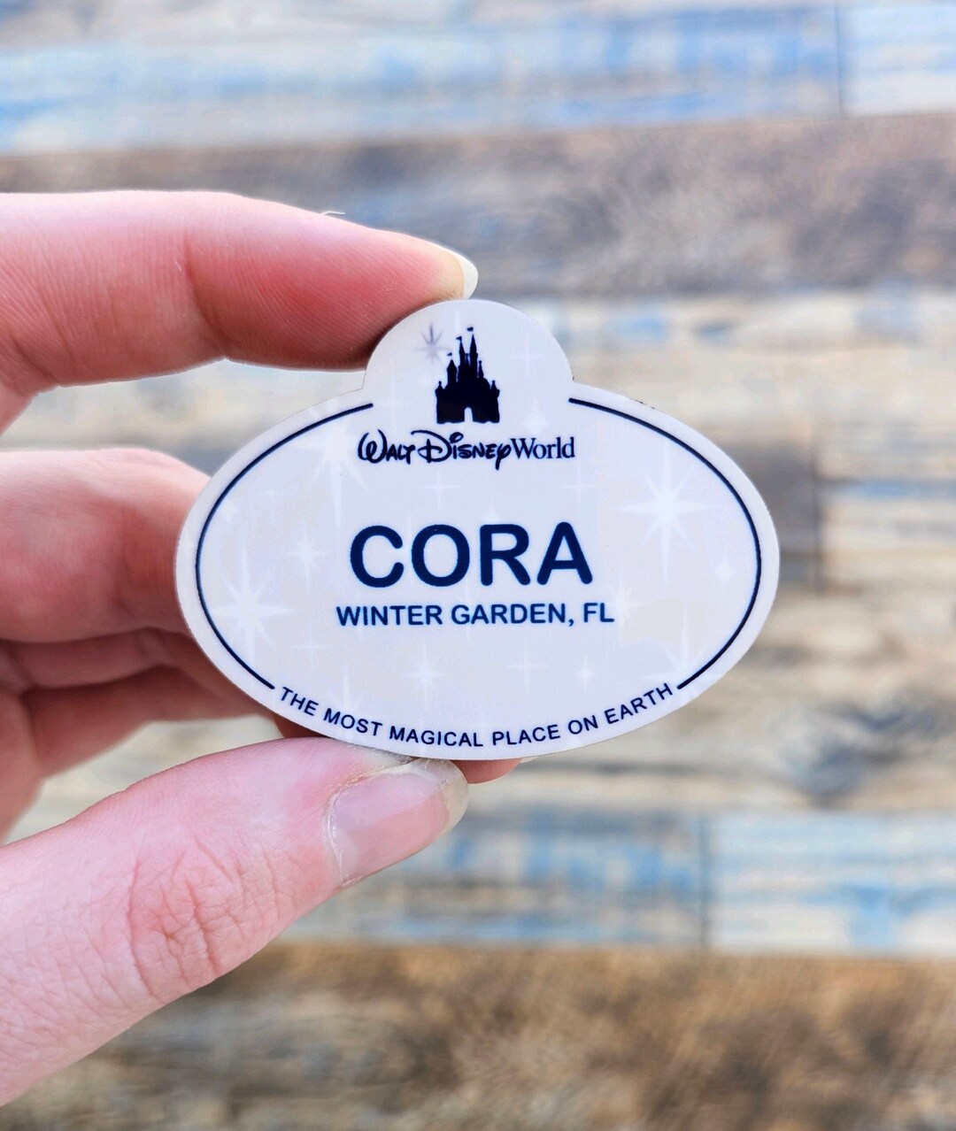 New Style Cast Member Pin, Custom Disney Pin, Disney Pin CM, 50th ...