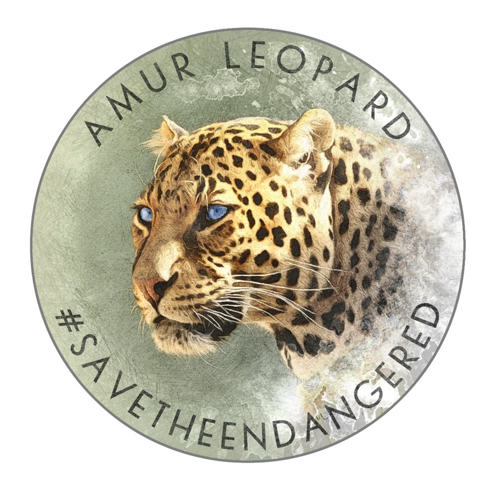 Endangered Amur Leopard Hydro Flask Sticker - Etsy