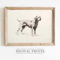 One Line Drawing | Labrador and French Bulldog Wall Art | 2 Dogs ...