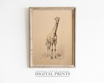 GIRAFFE ARTWORK / ANIMAL Drawing Graphite Sketch / Giraffe Wall Art ...