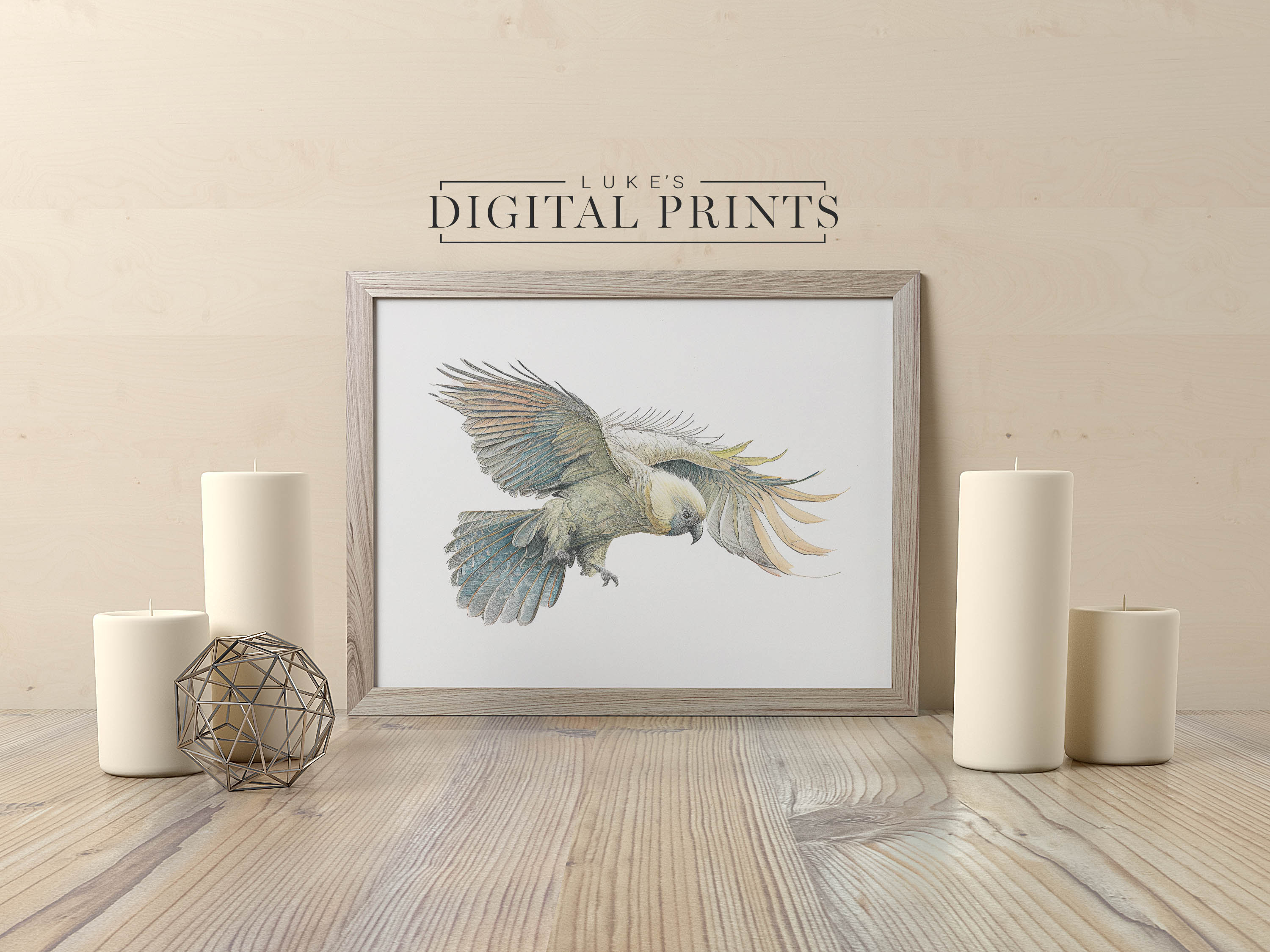 Cockatoo in Flight Pencil Drawing - Digital Print Download - Vintage ...