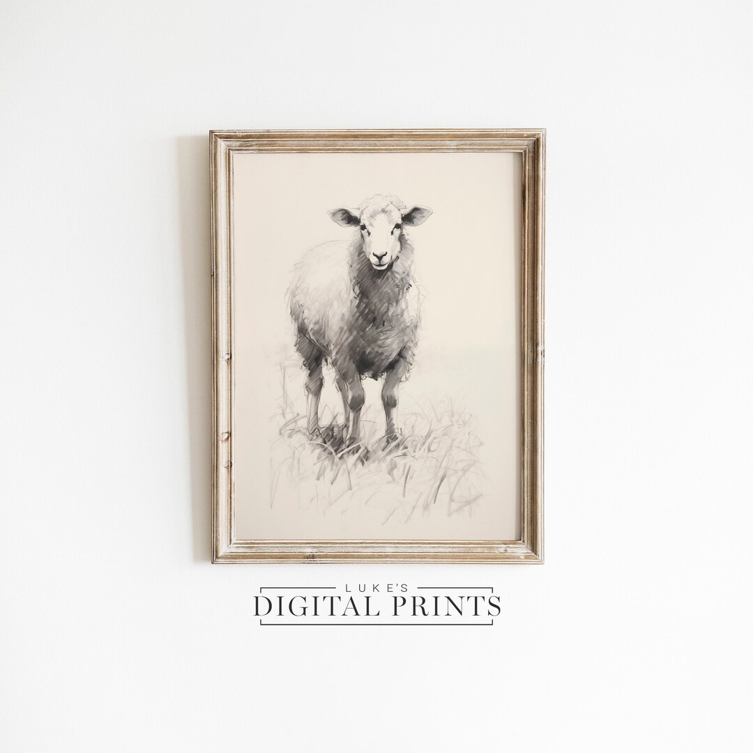 Sheep Art Print Drawing - Digital Download - Farmhouse Animal Sketch ...