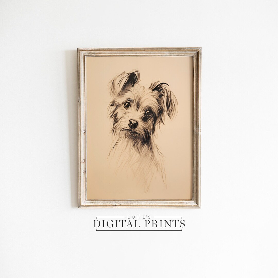 Yorkshire Terrier Portrait Art Sketch - Digital Print Download - Small ...