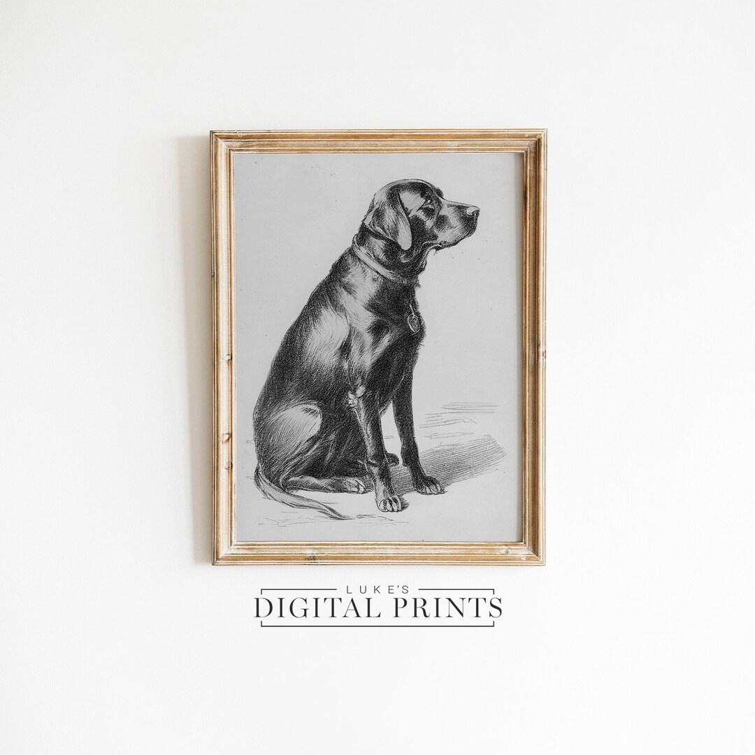 Labrador Portrait Sketch Art Print - Digital Download Poster - Rustic ...