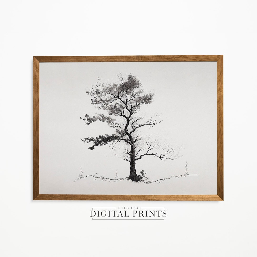 Ash Tree Pencil Drawing Print - Digital Download - Vintage Neutral ...