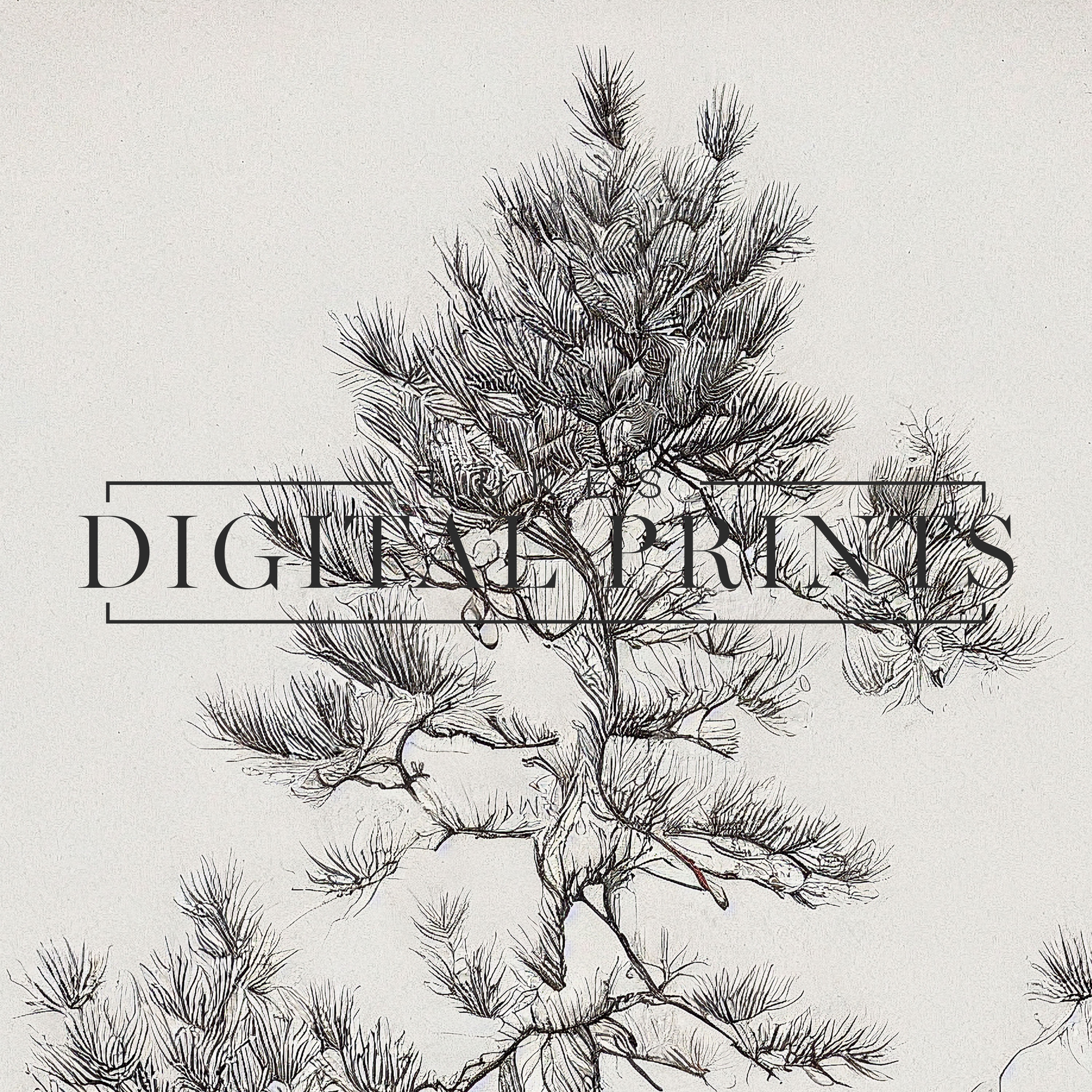 Vintage Pine Tree Pencil Drawing Digital Print Minimalist - Etsy