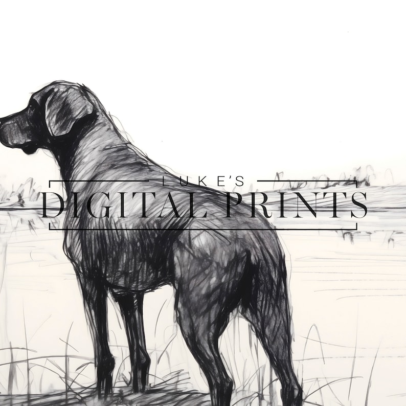 Black Labrador Sketch Print - Digital Download - PRINTABLE Cute Pet Lab ...