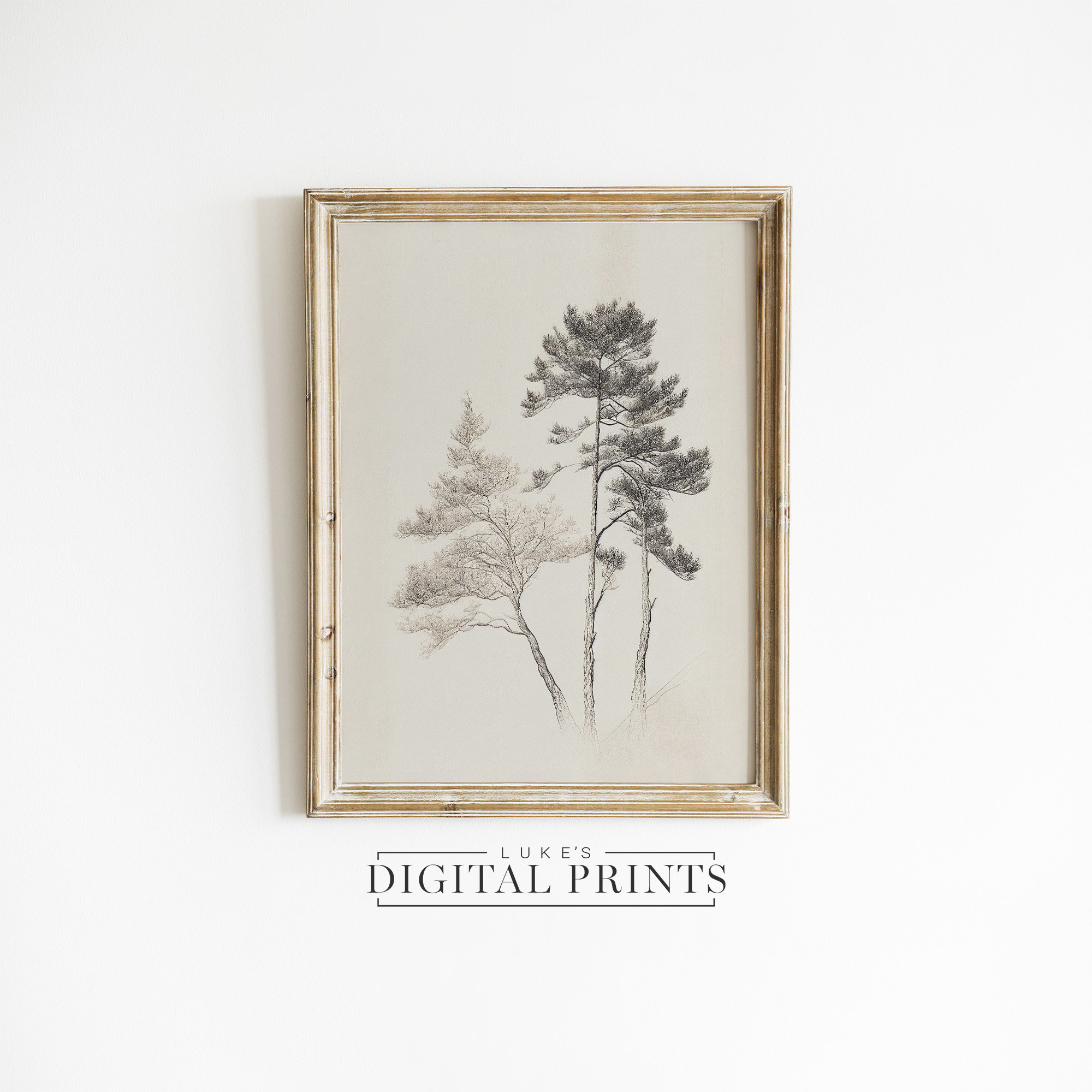 Tree Sketch Art Print Set of 4 Digital Drawing Downloads PRINTABLE ...
