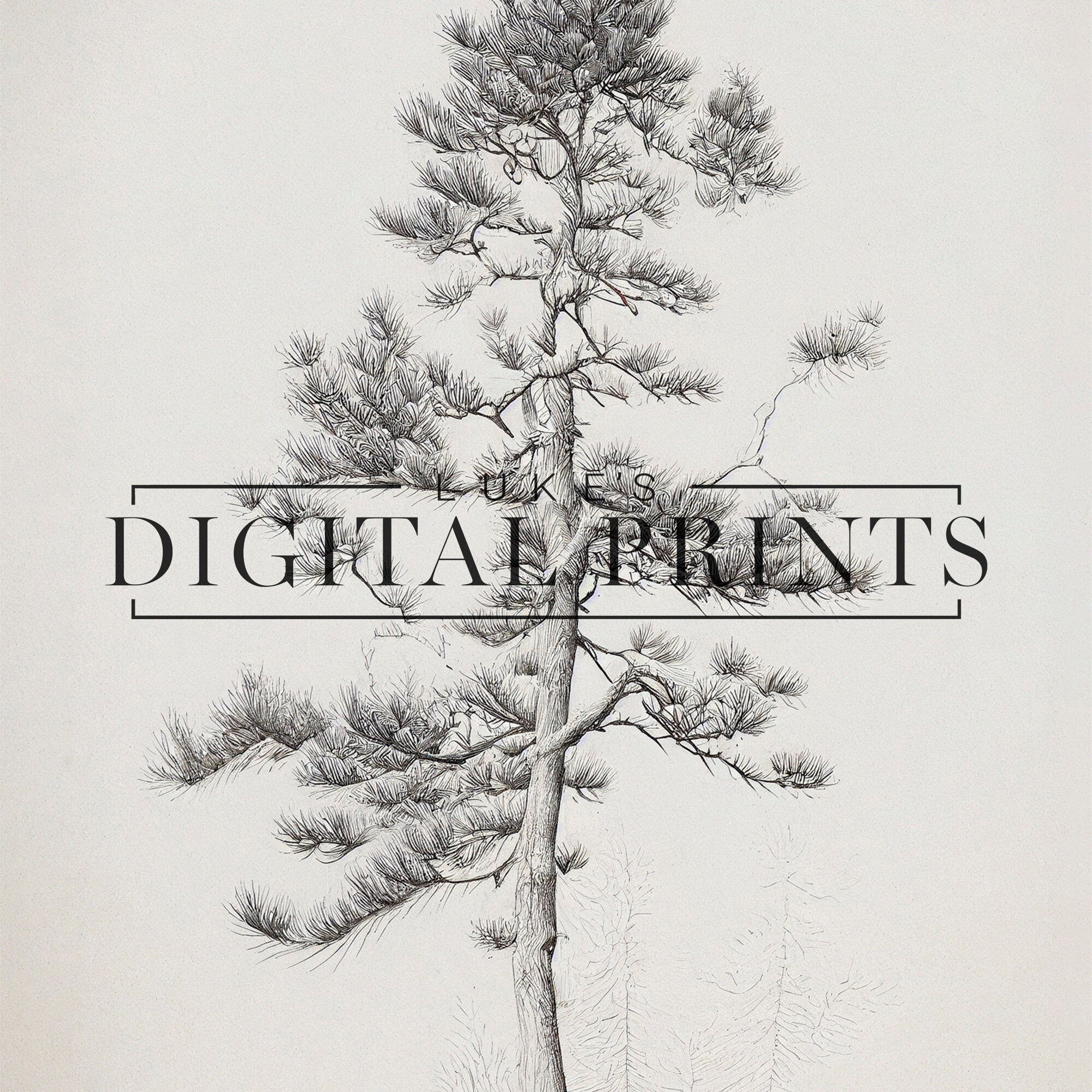 Tree Sketch Art Print Set of 4 Digital Drawing Downloads PRINTABLE ...