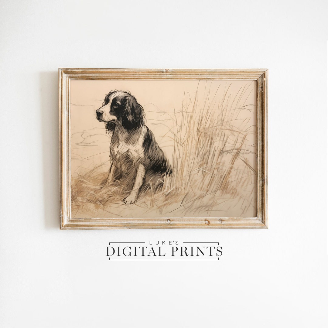 English Spaniel Sketch Art - Digital Print Download - PRINTABLE Cute ...