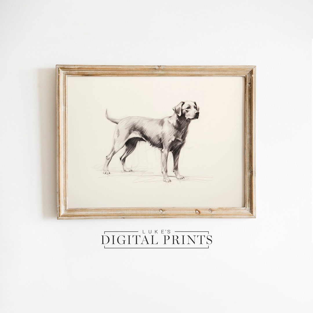 Silver Labrador Art Drawing Print - Vintage Digital Download- Pet Dog ...