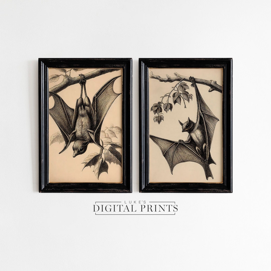 Vintage Bat Drawing PRINTABLE Wall Art Set of 2 - Digital Print ...