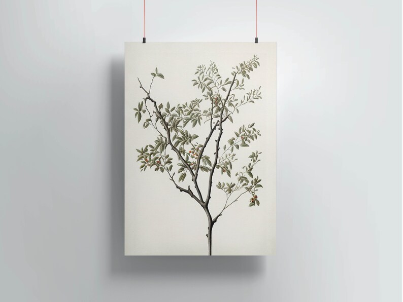 Tree Branch Pencil Drawing Print Digital Download Vintage - Etsy