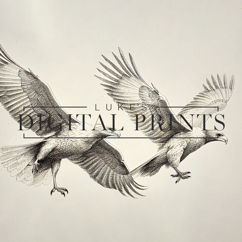 2er Set - Adler Zeichnungen - Digitaldruck Downloads - Vintage Wildlife ...