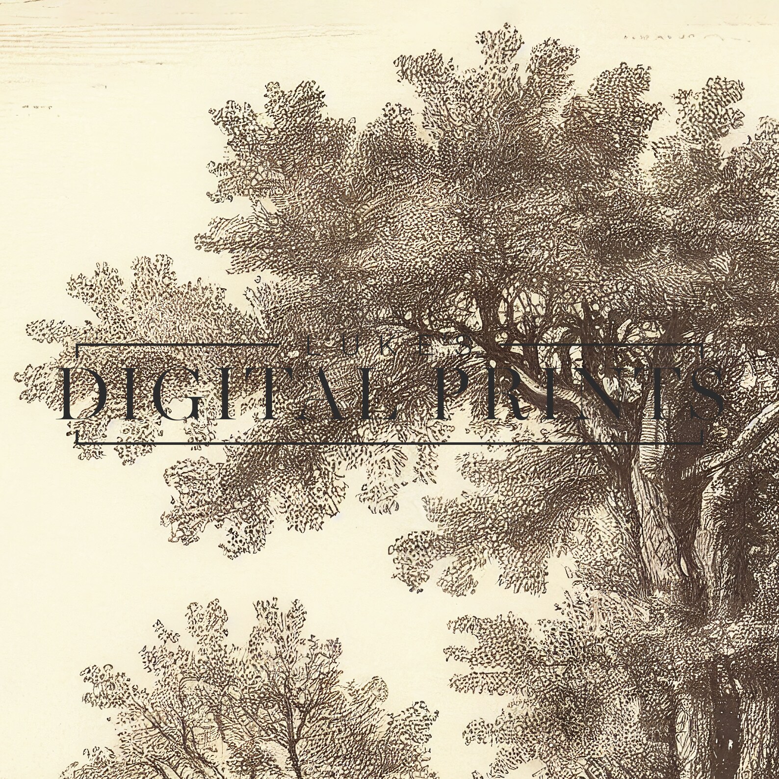 Oak Tree Pencil Drawing Print - Digital Download - Vintage Countryside ...