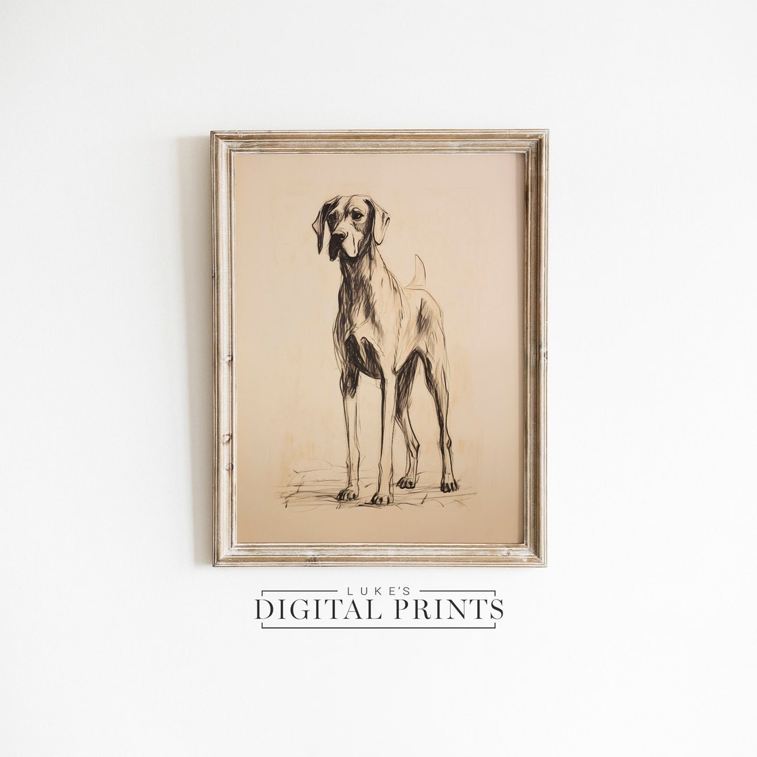 Great Dane Drawing Print - Digital Download Art - Canine Wall Decor ...