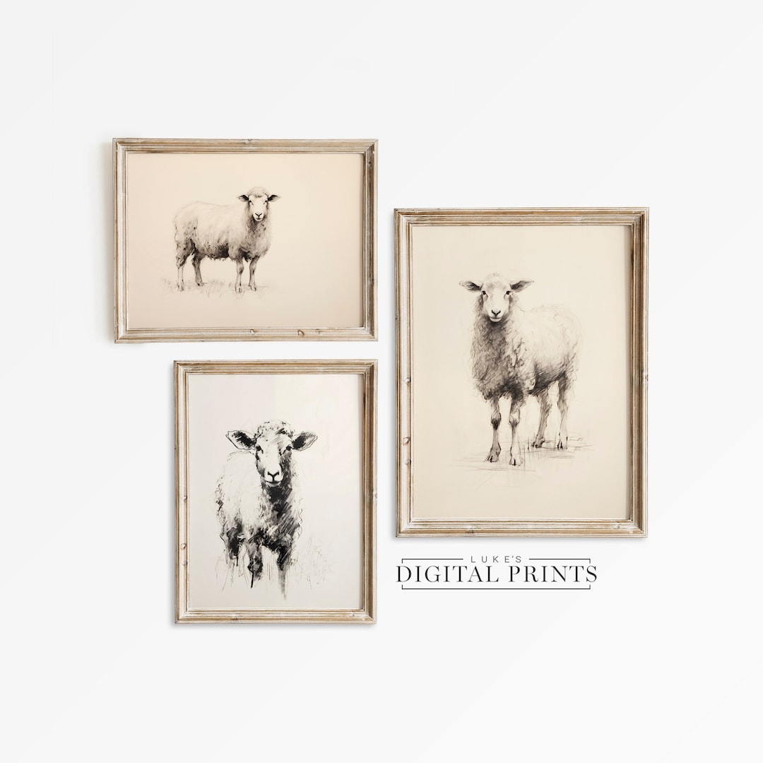 Sheep Drawing Art Print Set of Three - Digital Download Bundle - Woolly ...
