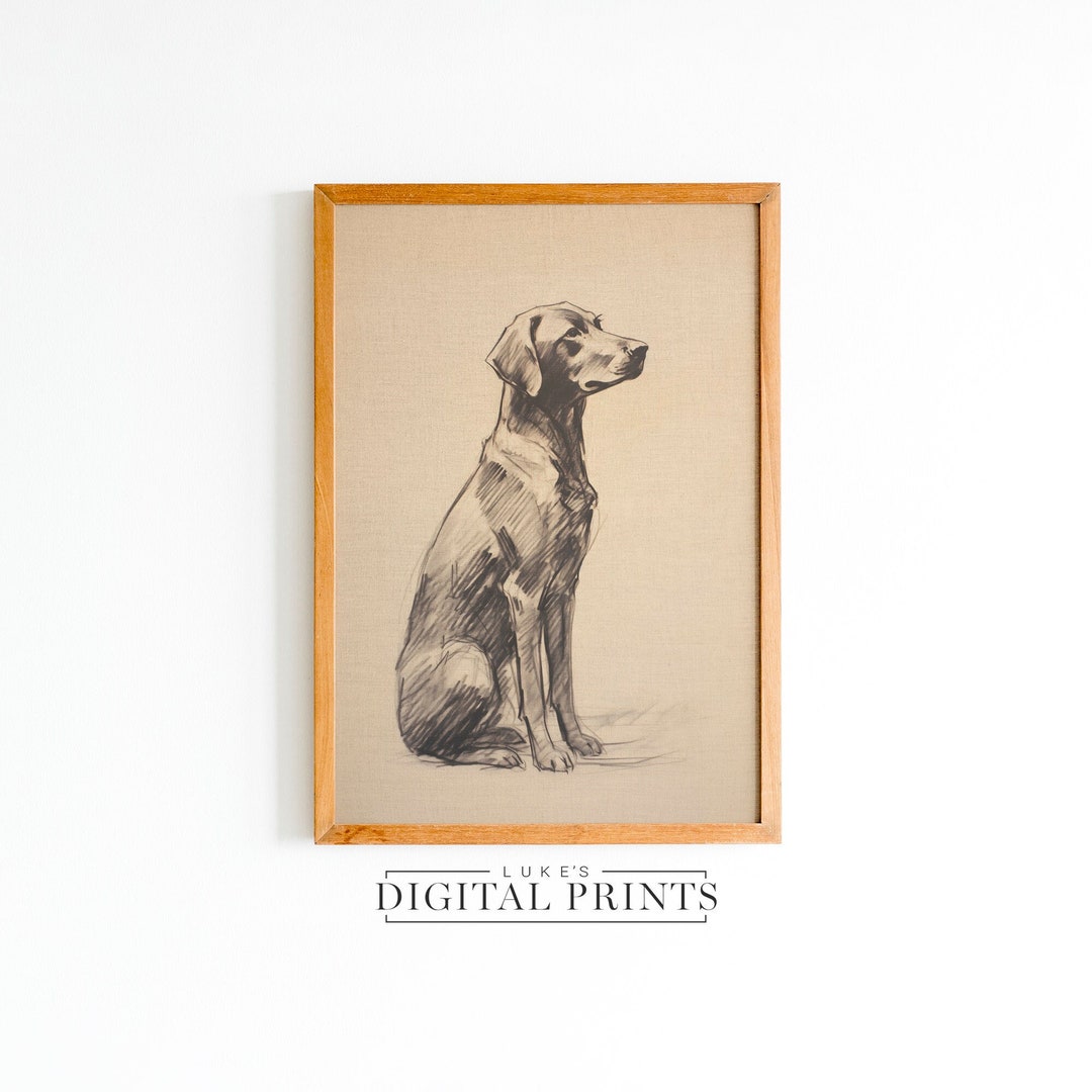 Vintage Labrador Drawing Art Print - Digital Download - PRINTABLE ...