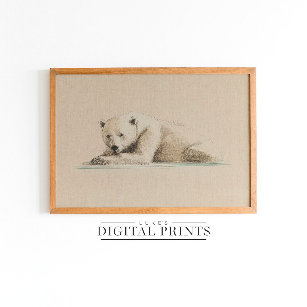 Boceto de oso polar IMPRIMIBLE Descarga de impresión digital Decoración ...