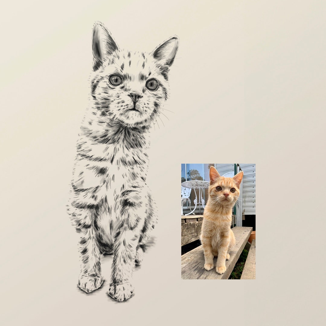 CUSTOM Cat Drawing - Digital Art Download - Personalized Cute Kitten ...