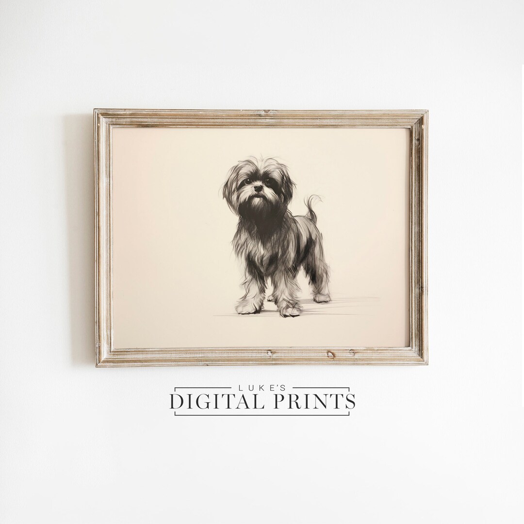 PRINTABLE Shih Tzu Drawing - Digital Download - Cute Pet Dog Sketch ...