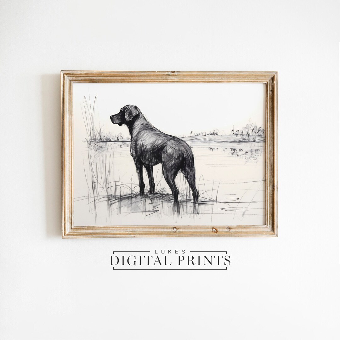 Black Labrador Sketch Print - Digital Download - PRINTABLE Cute Pet Lab ...
