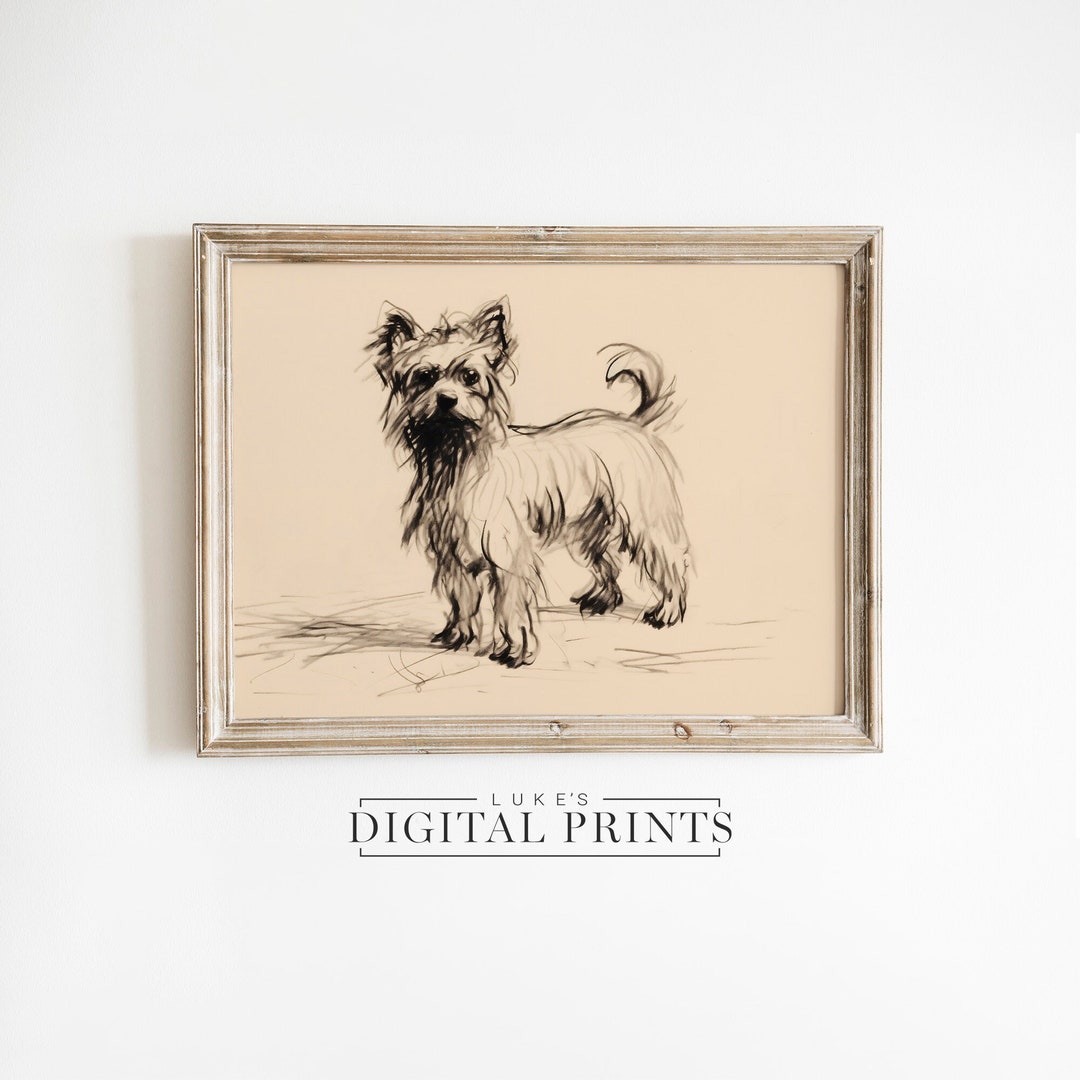 Yorkshire Terrier Sketch PRINTABLE - Digital Art Print Download ...