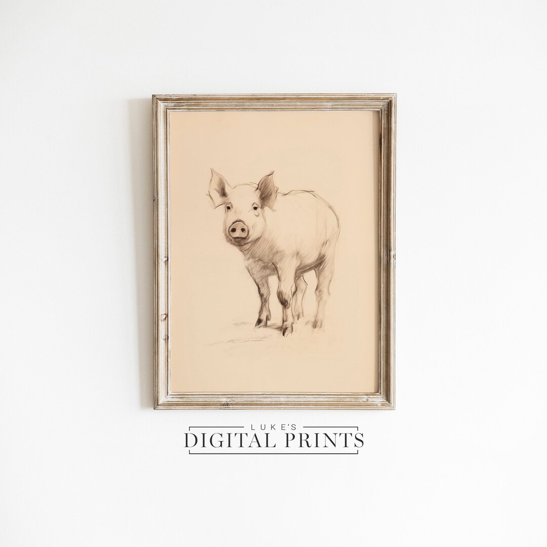 Vintage Pig Drawing PRINTABLE - Digital Download - Farm Animal Art ...