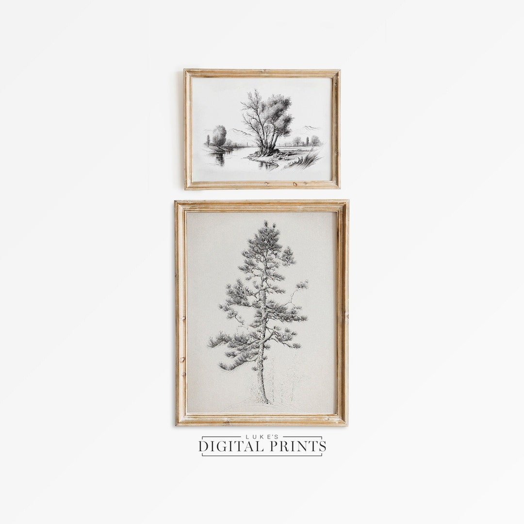 Pine Tree Drawing Print Set of 2 - Digital Art Downloads - Minimalist ...