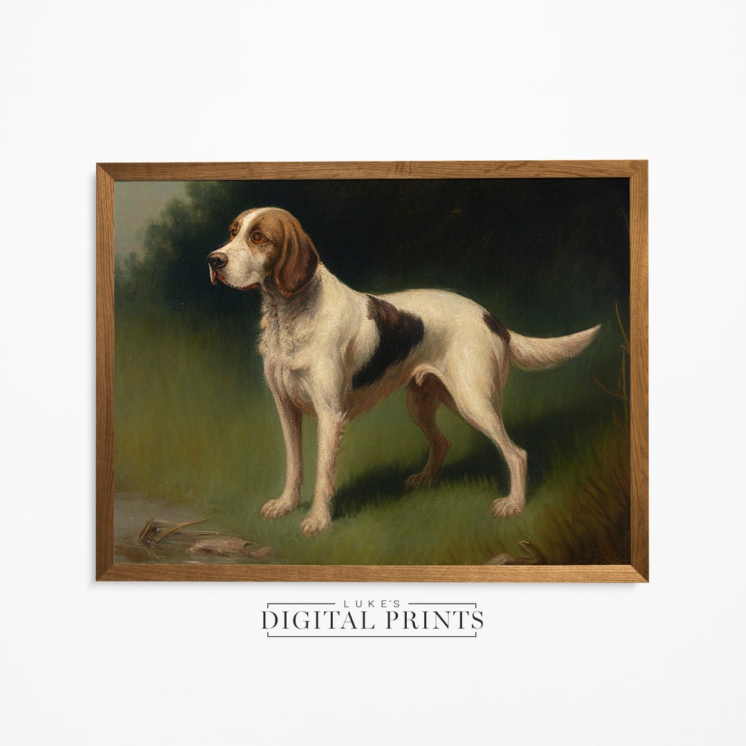 Vintage Hunting Dog Portrait Painting - Digital Print Download - Mid ...