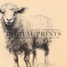 Rustic Sheep Art Prints - Digital Download Set of 2 - PRINTABLE Farm ...