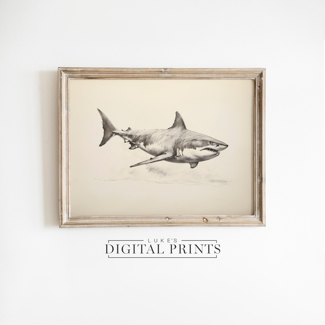 Great White Shark Drawing Print - Digital Art Download - Deep Ocean ...