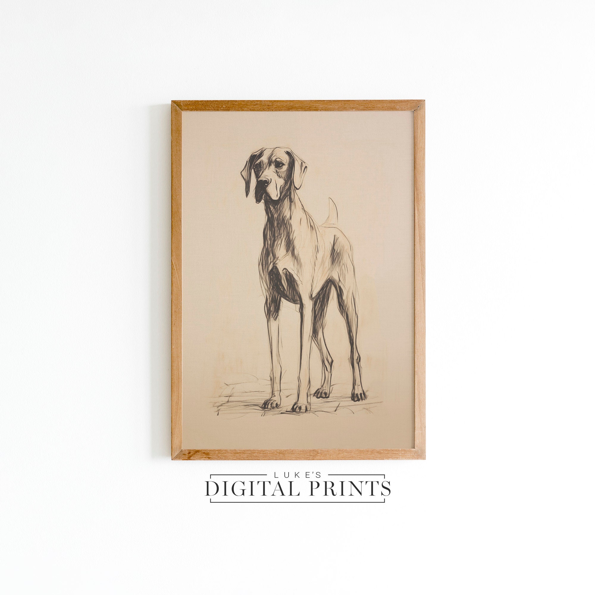 Great Dane Drawing Print Digital Download Art Canine Wall Decor Artwork ...