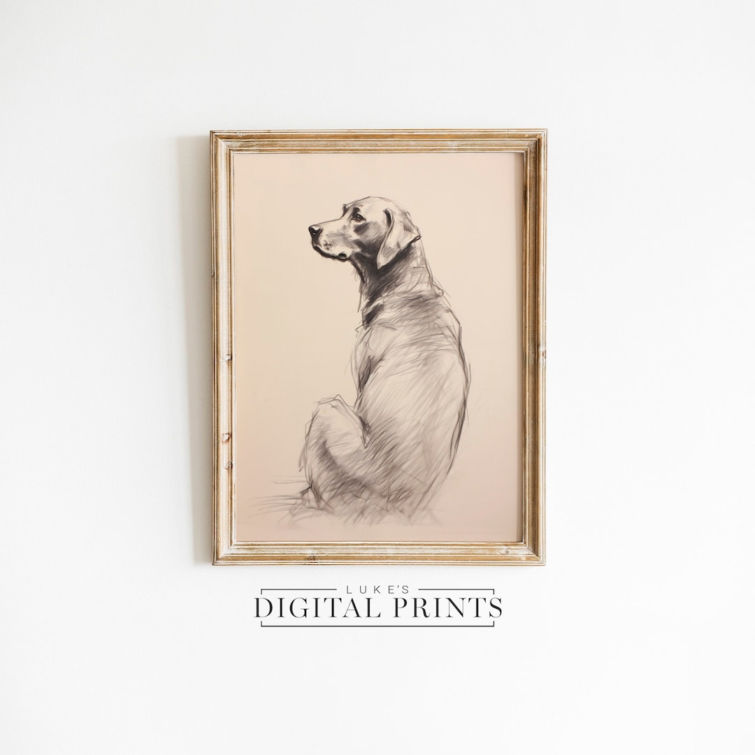 Labrador Skizze Art Print - Minimalist Digital Download - DRUCKBAR Süß ...