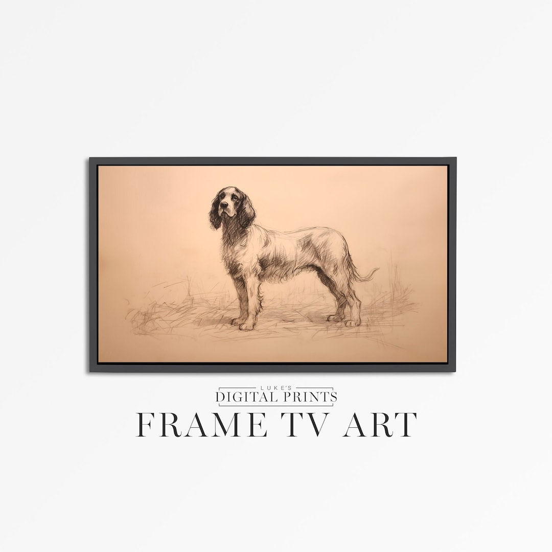 Springer Spaniel Zeichnung FRAME TV Art Englischer Hund Porträt ...