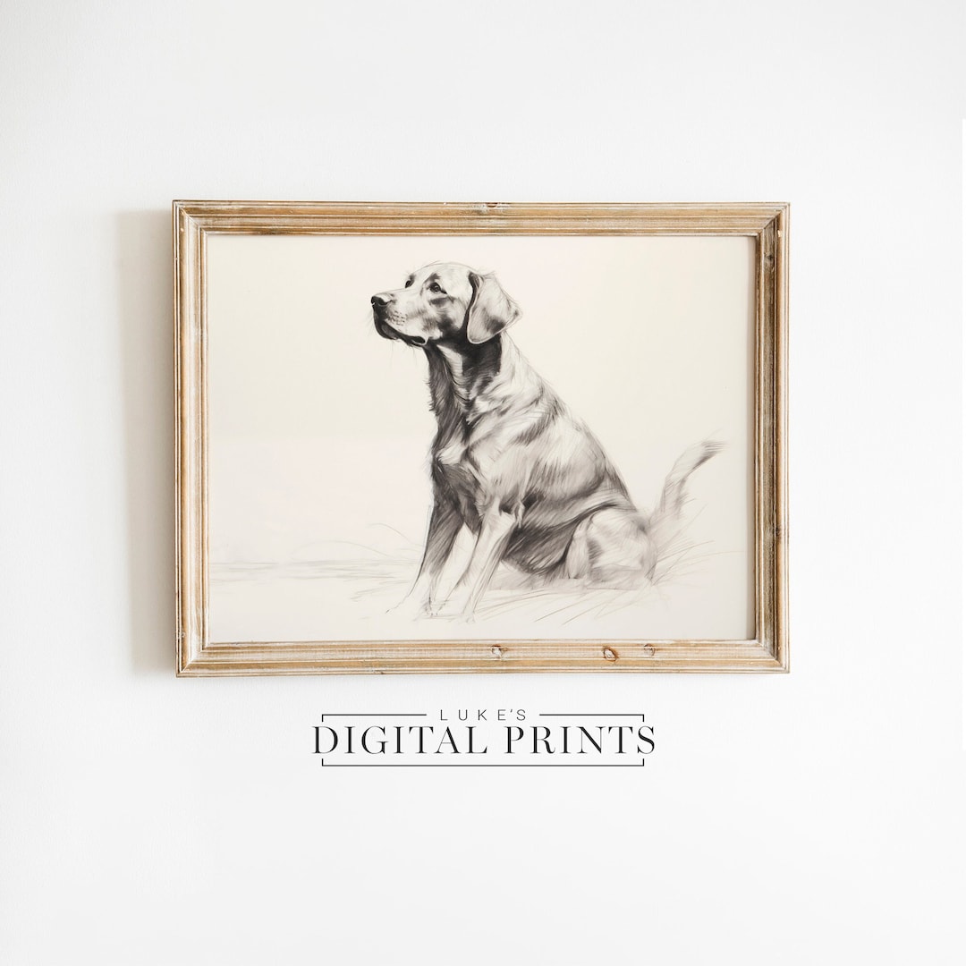Silver Labrador Sketch Portrait Art Print - Minimalist Digital Download ...