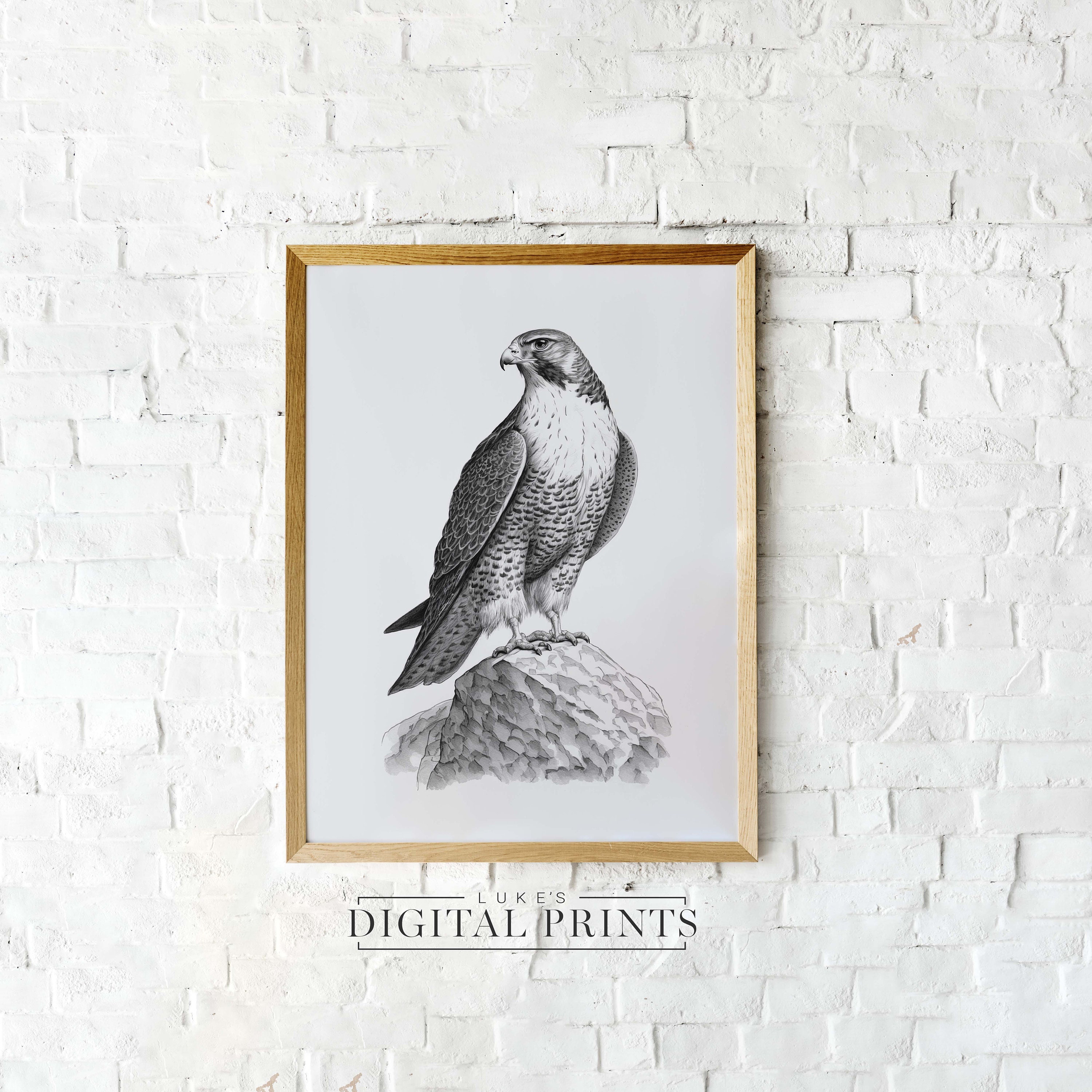 Thronender Falke Zeichnung - Digitaldruck Download - Vintage Vogel ...