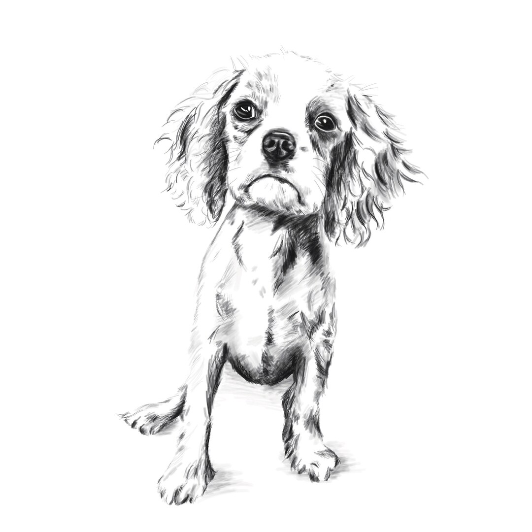 CUSTOM Dog Portrait Drawing From Photo - Digital Art Download ...