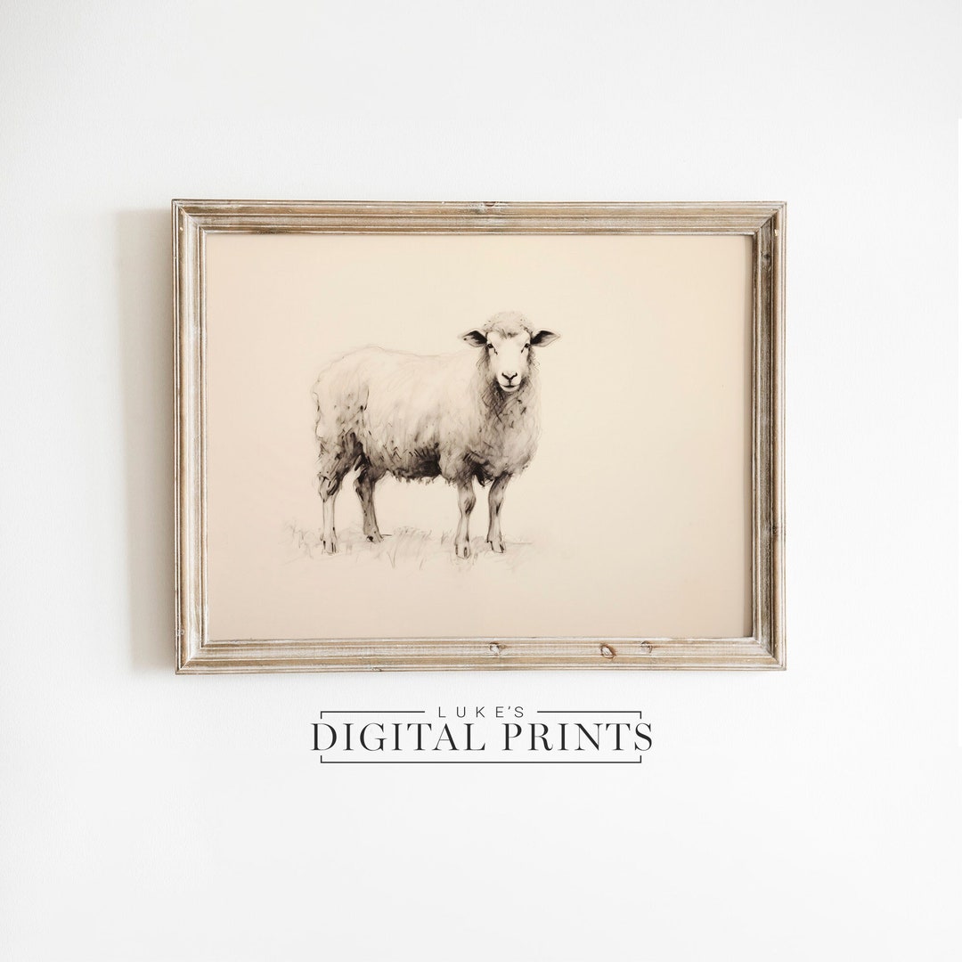 Sheep Sketch Art Print - Digital Download Wall Decor - Farmhouse Animal ...