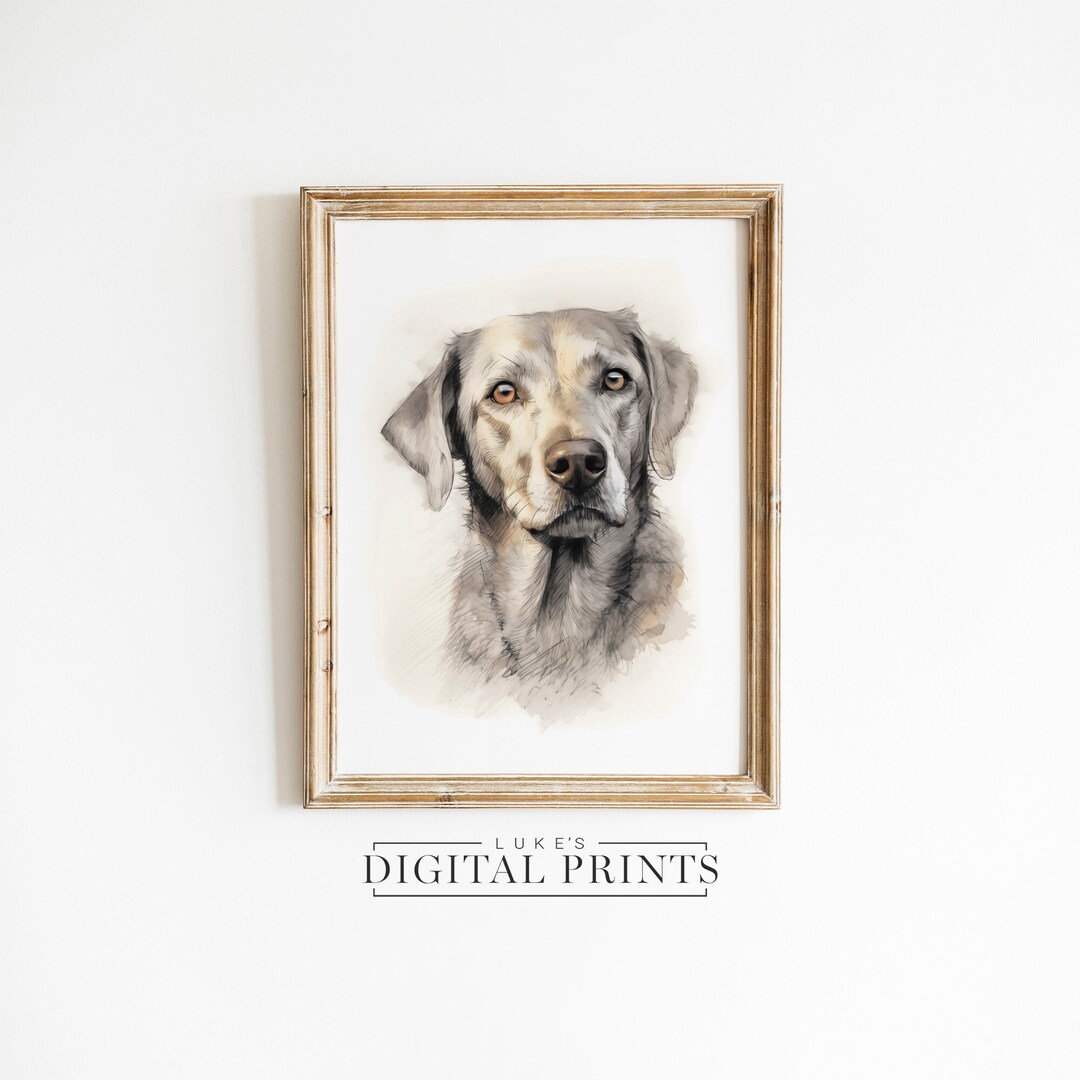 Silver Labrador Portrait Print - Digital Download - Color Dog Drawing ...